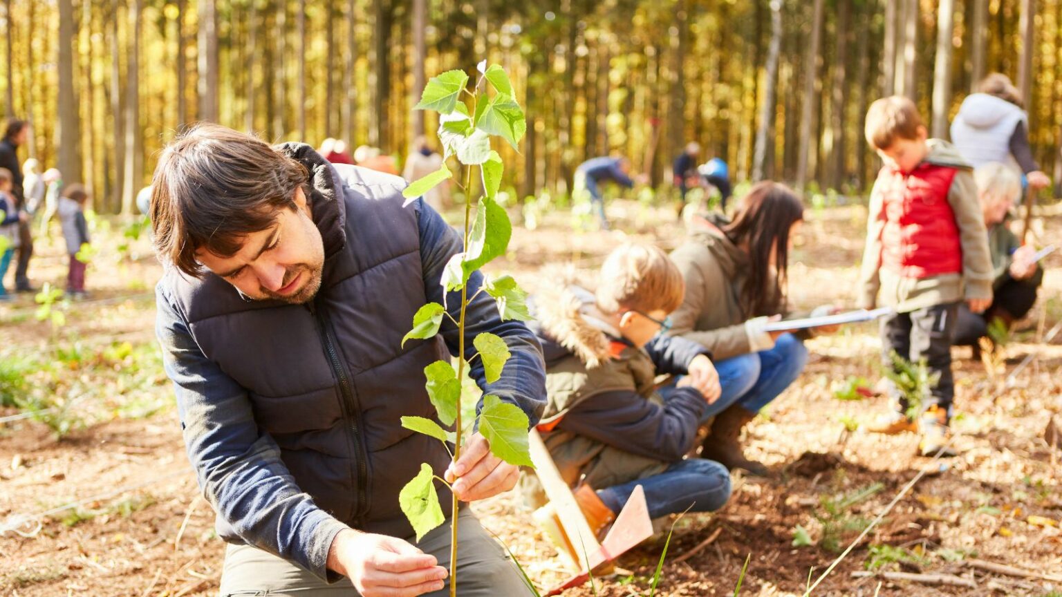 Top 15 Sustainability Ideas for Individuals, Businesses, and ...
