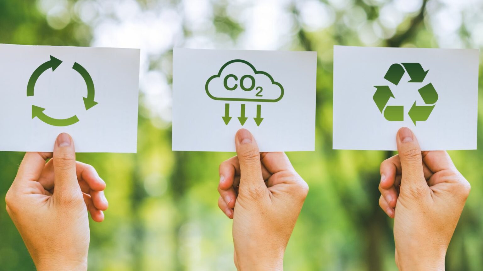 What Does It Mean to Go Green: Understanding Sustainable Living and Its ...