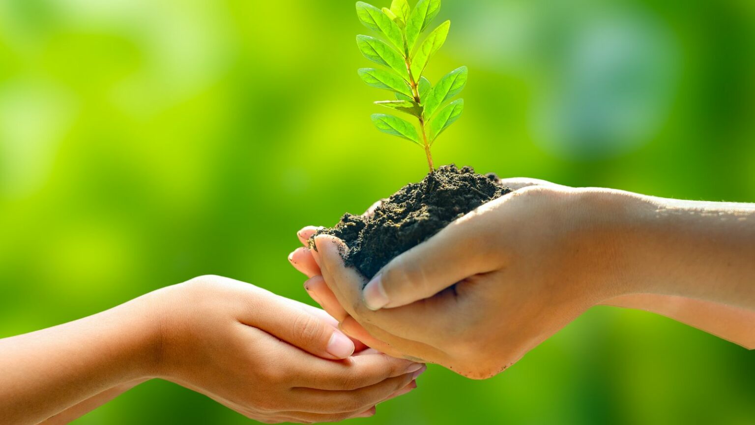 Top Sustainable Strategies for a Greener Future: Boost Efficiency and ...