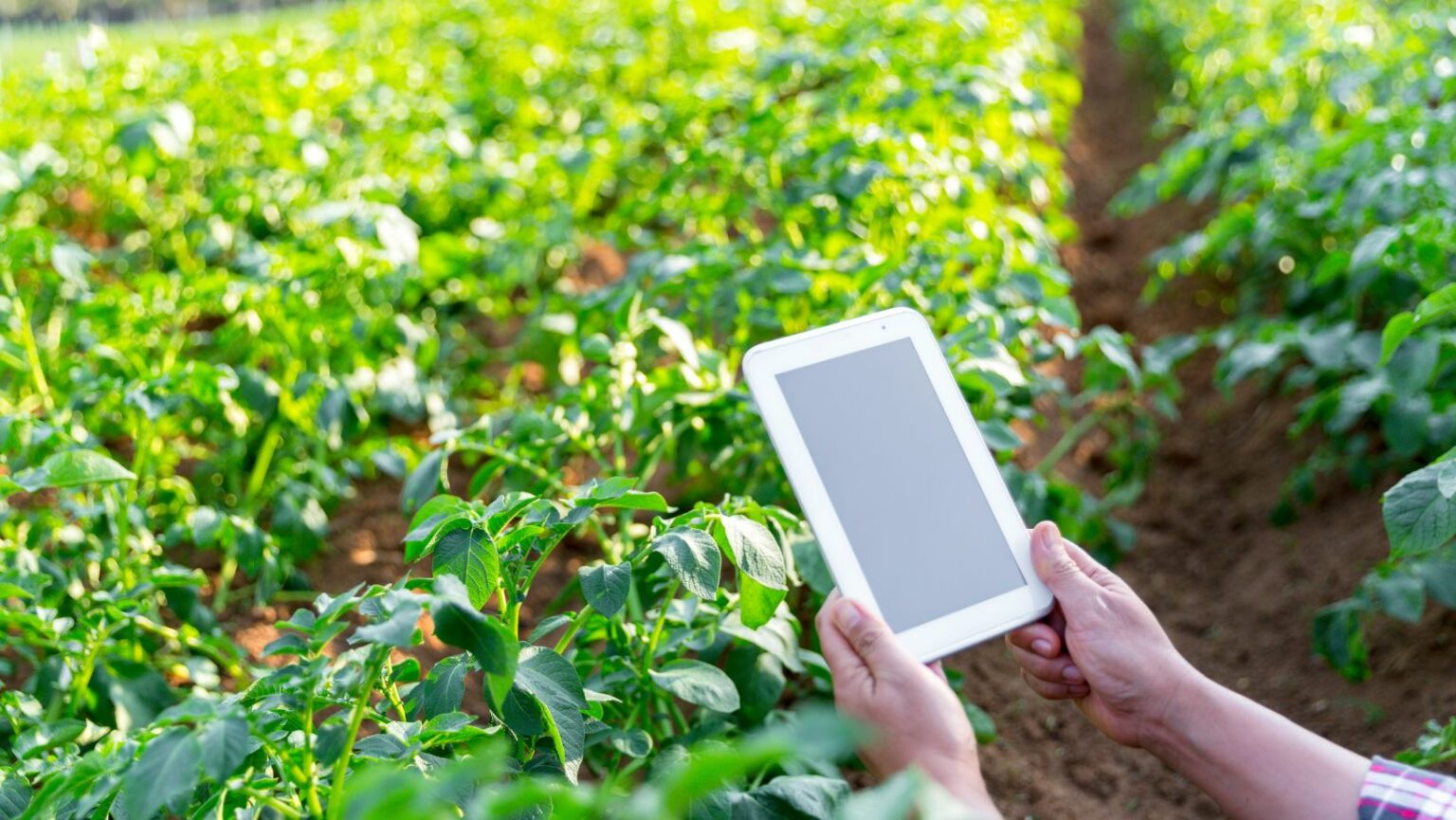 How Green Revolution Technology Transformed Modern Agriculture: Key ...