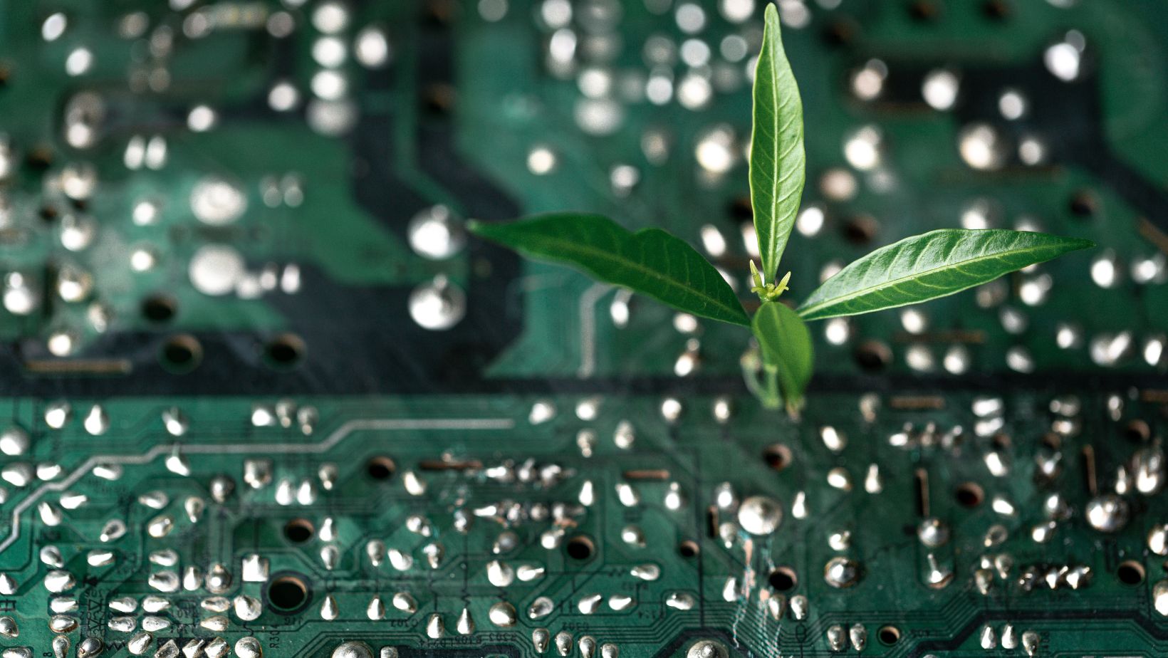 Understanding Green Technology Meaning: Key Innovations for a ...